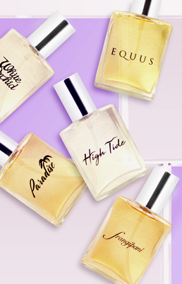 Key Lime Moisturizing Lotion - Aloe Vera Lotion