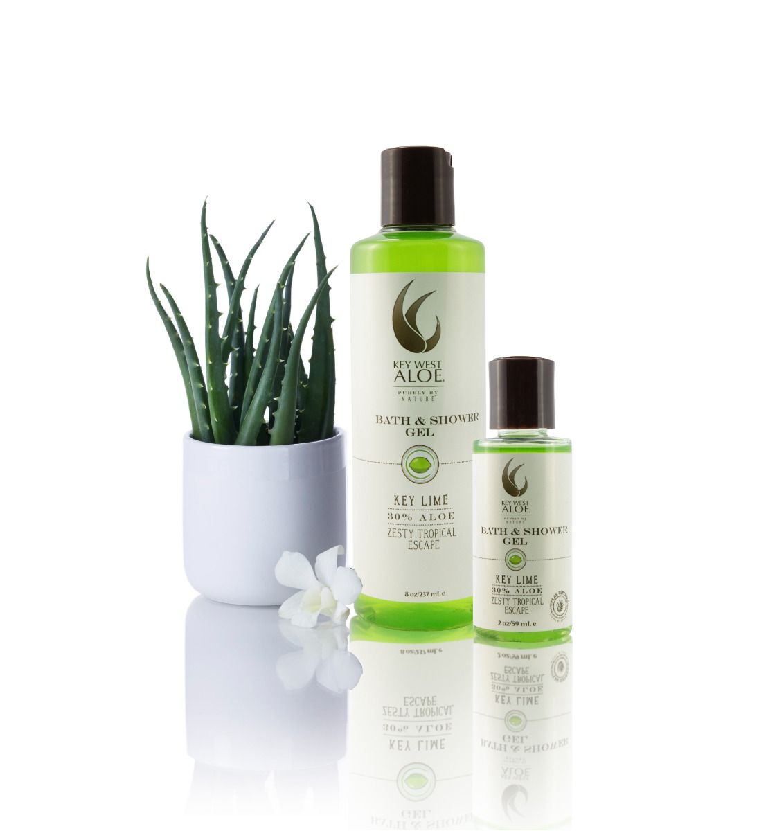 Key Lime Shampoo - Aloe Vera Shampoo
